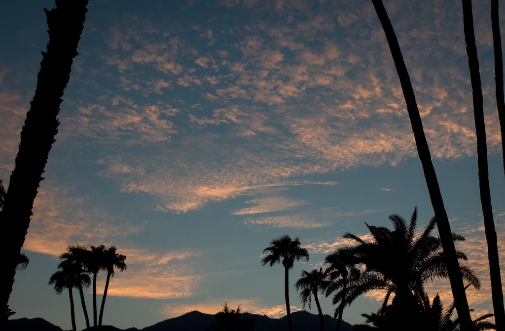 IF YOU LOOK TOWARD THE SKY WITH SAD ENOUGH EYES YOU CAN SEE FIREWORKS ...